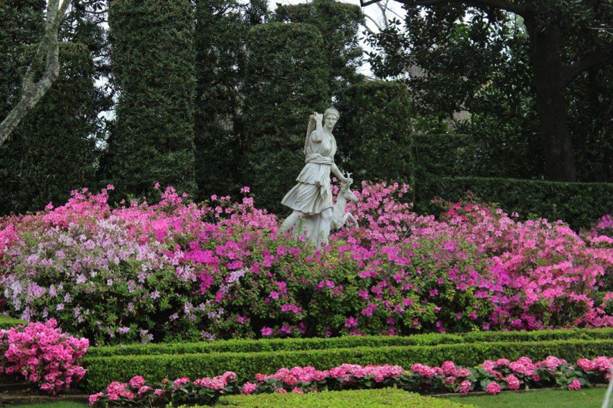 River Oaks Garden Club’s 82nd Annual Azalea Trail | The Buzz Magazines